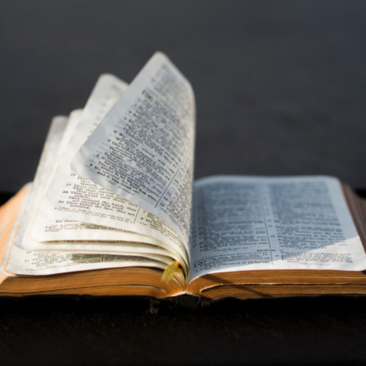 Liturgical Ministries
